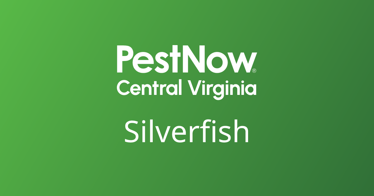 Silverfish Control Services | PestNow of Central Virginia