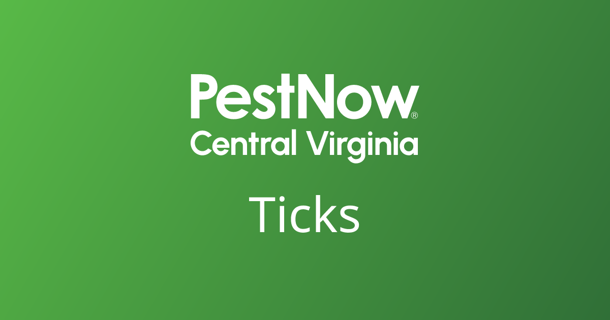 Tick Control Services | PestNow of Central Virginia